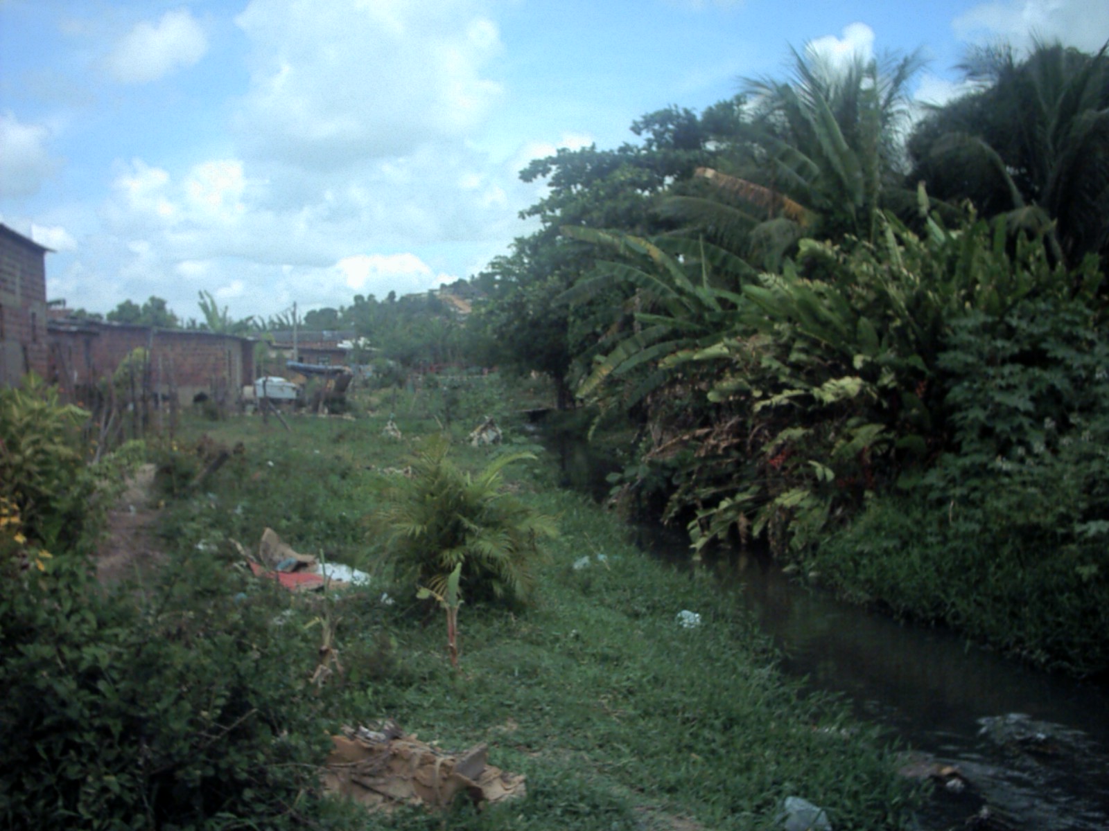 BEBERIBE NA REDE UM BAIRRO HISTÓRICO DO RECIFE: SUA MAJESTADE O RIO ...