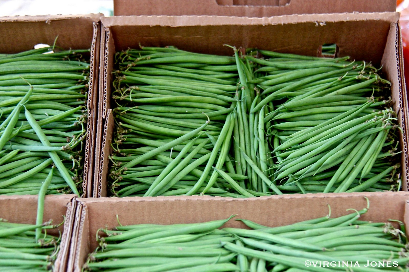 Paris Through My Lens: Les haricots verts