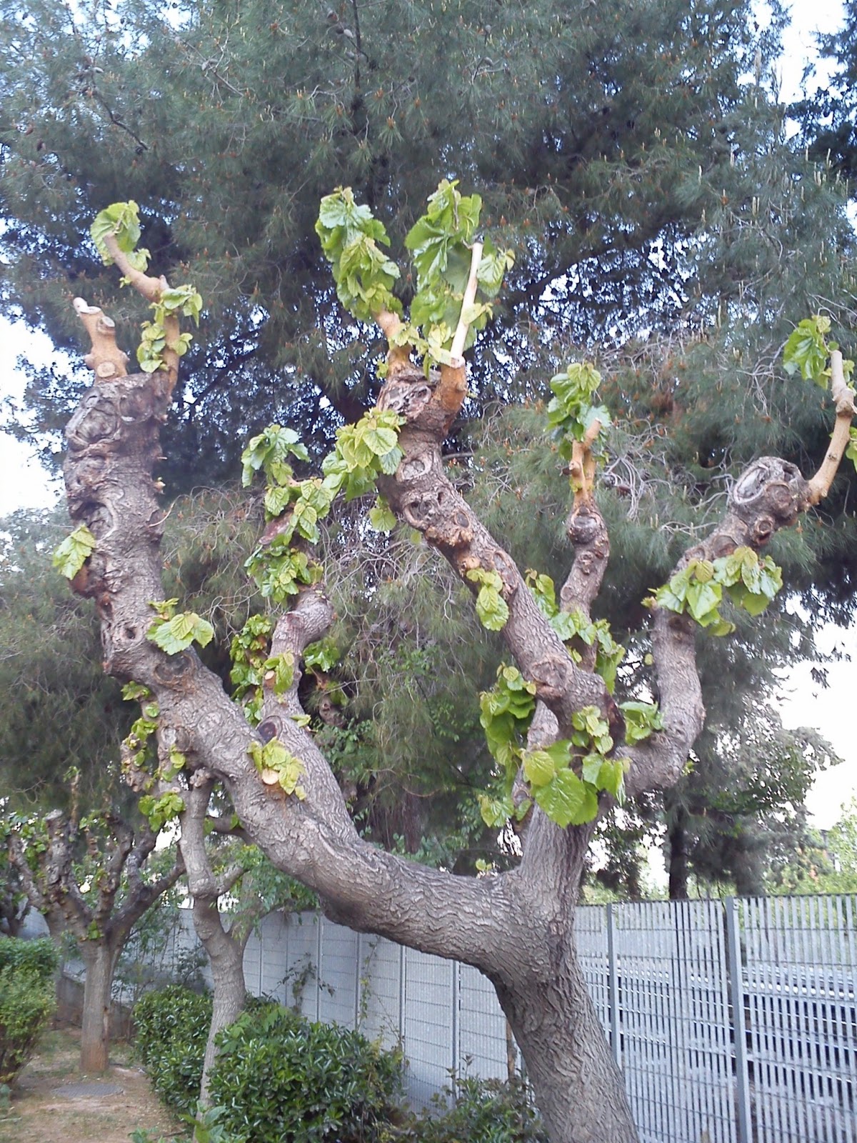 Γιώργος Πρίμπας (Στιγμές): Απριλίου 2013