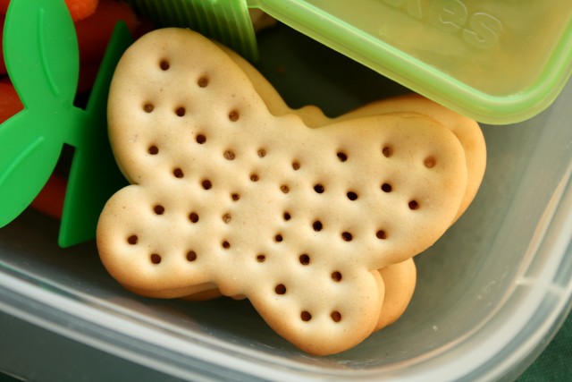 Chaos and Confections: Peace and Butterflies