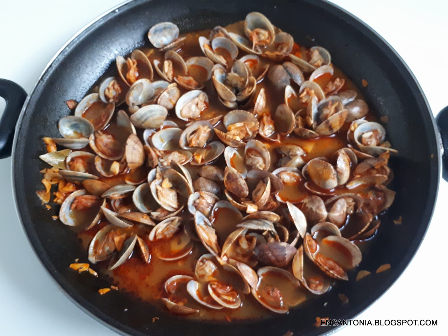 ENCANTONIA: ALMEJAS DE PUERTO REAL A LA MARINERA