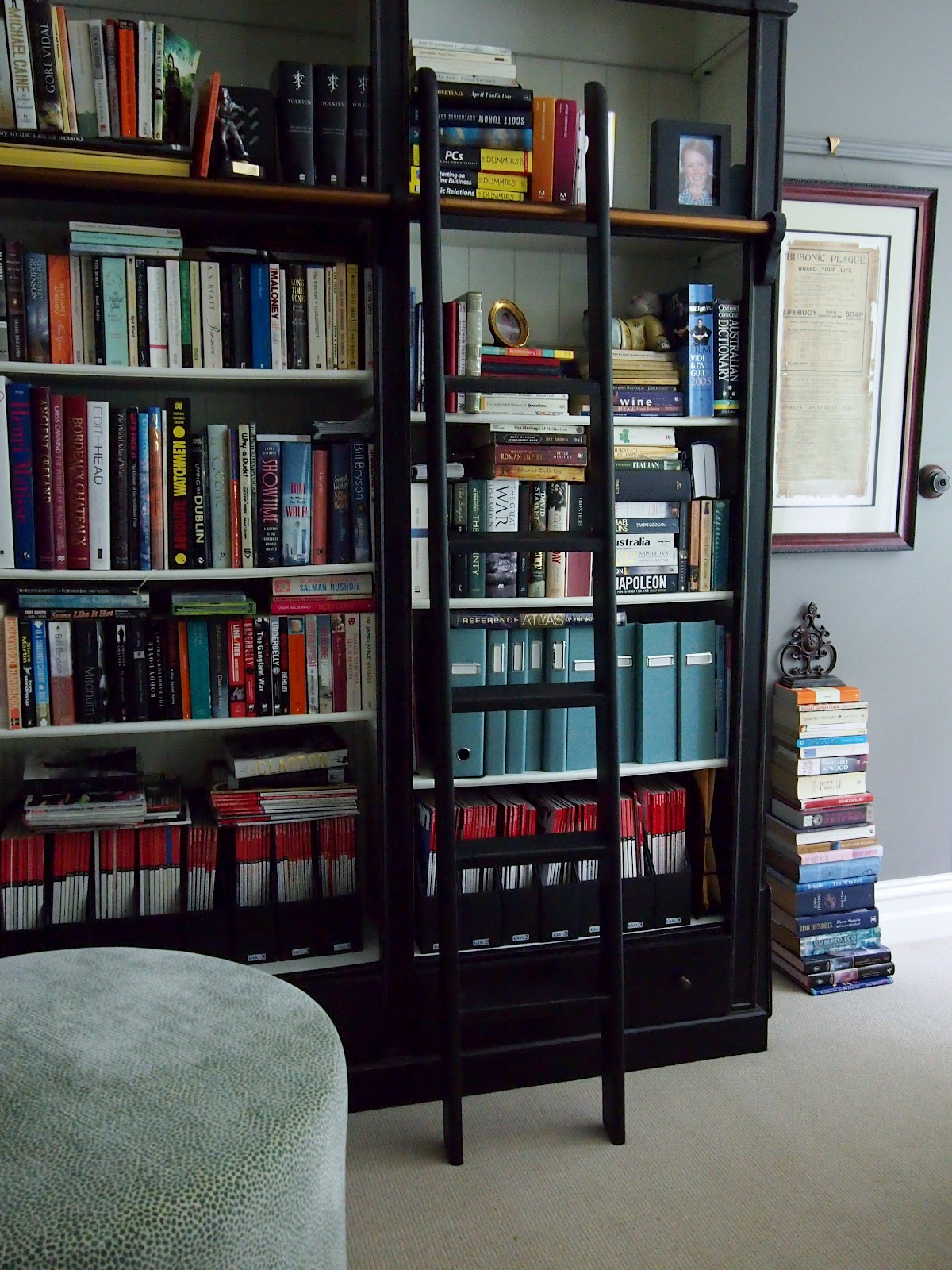 beautiful south: Library bookcases