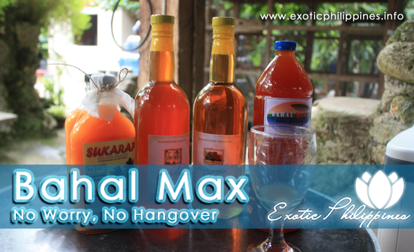 Bahal Max - No Worry, No Hangover