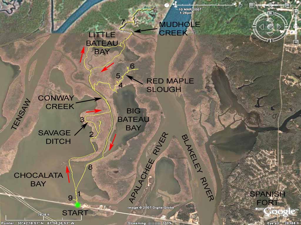 Kayaking the Mobile-Tensaw River Delta: March 2007