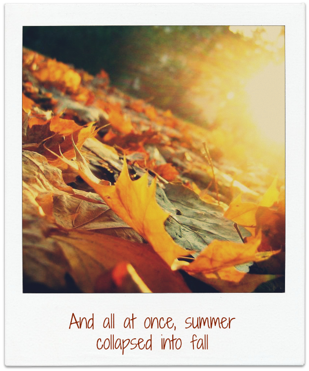 Thuis is waar je hart ligt: And all at once, summer collapsed into fall