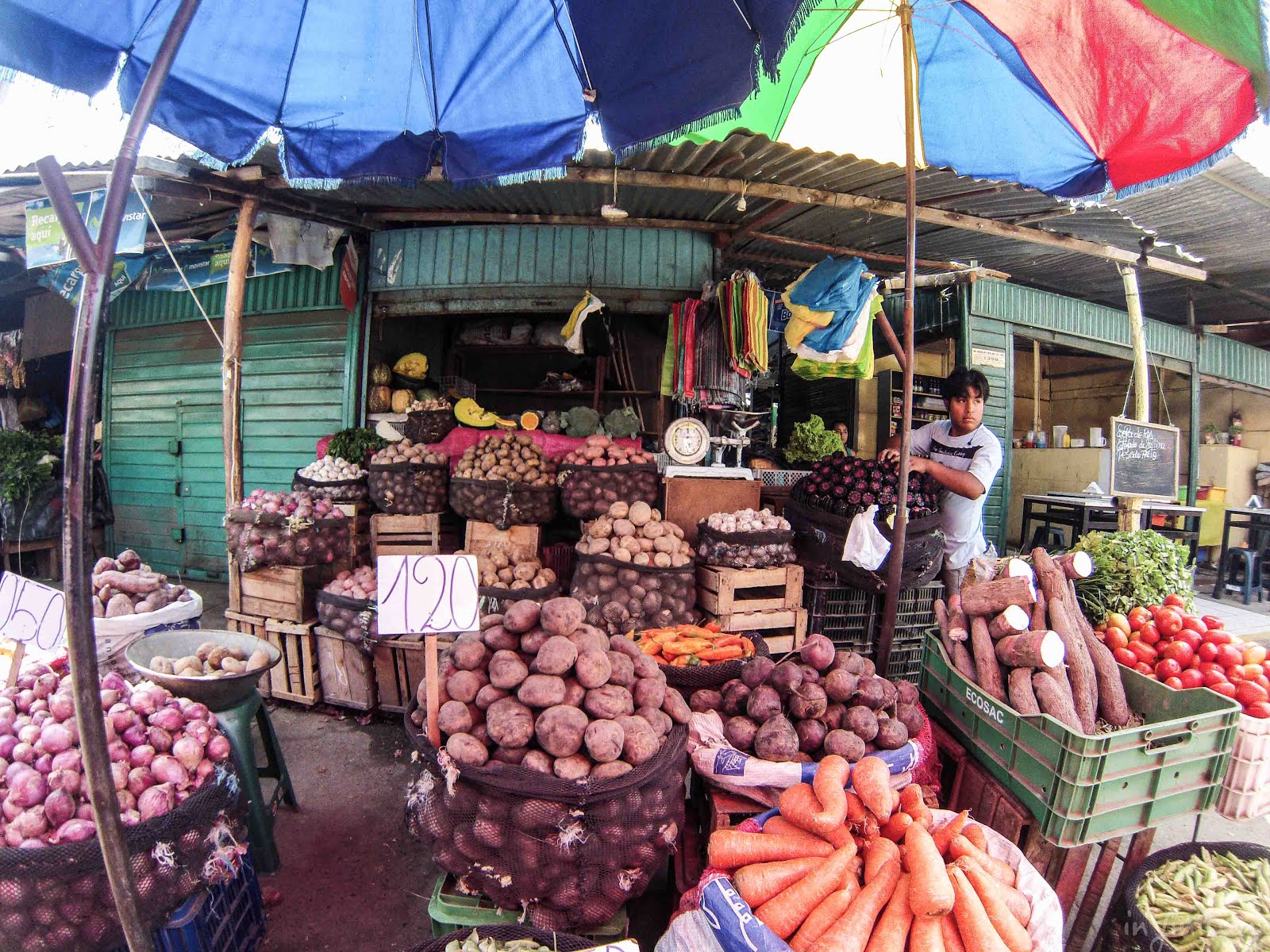 Sustentabilidad: Economía global vs economía local.