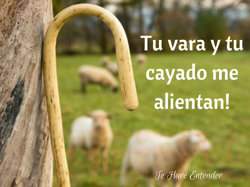 Te Haré Entender...: TU VARA Y TU CAYADO ME ALIENTAN!