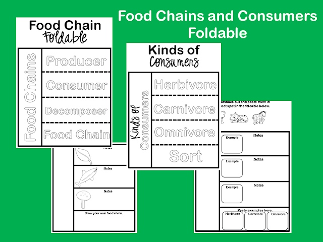 Ginger Snaps: Food Chain and Consumers Foldable