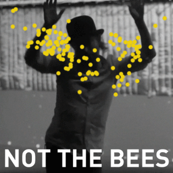 Nicolas Cage: Not The Bees