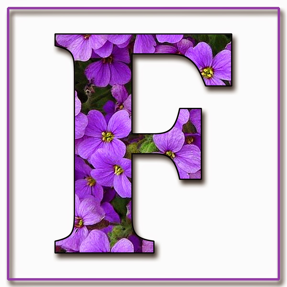 SGBlogosfera. María José Argüeso: DE VIOLETAS