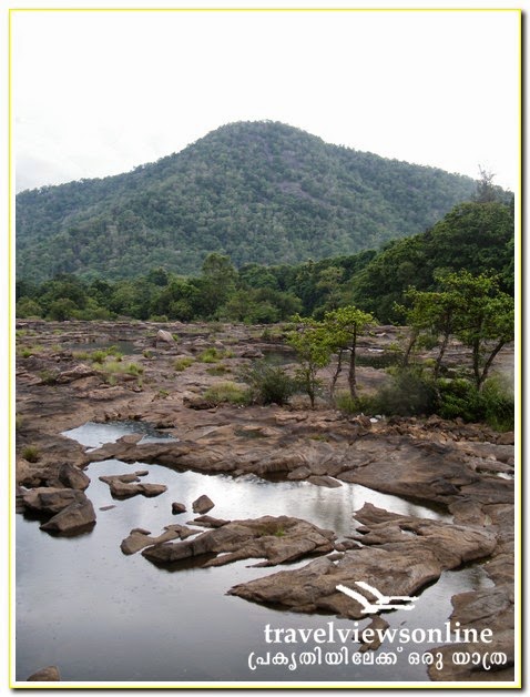 പ്രകൃതിയിലേക്ക് ഒരു യാത്ര (a travel towards NATURE): EZHATTUMUGHAM ...
