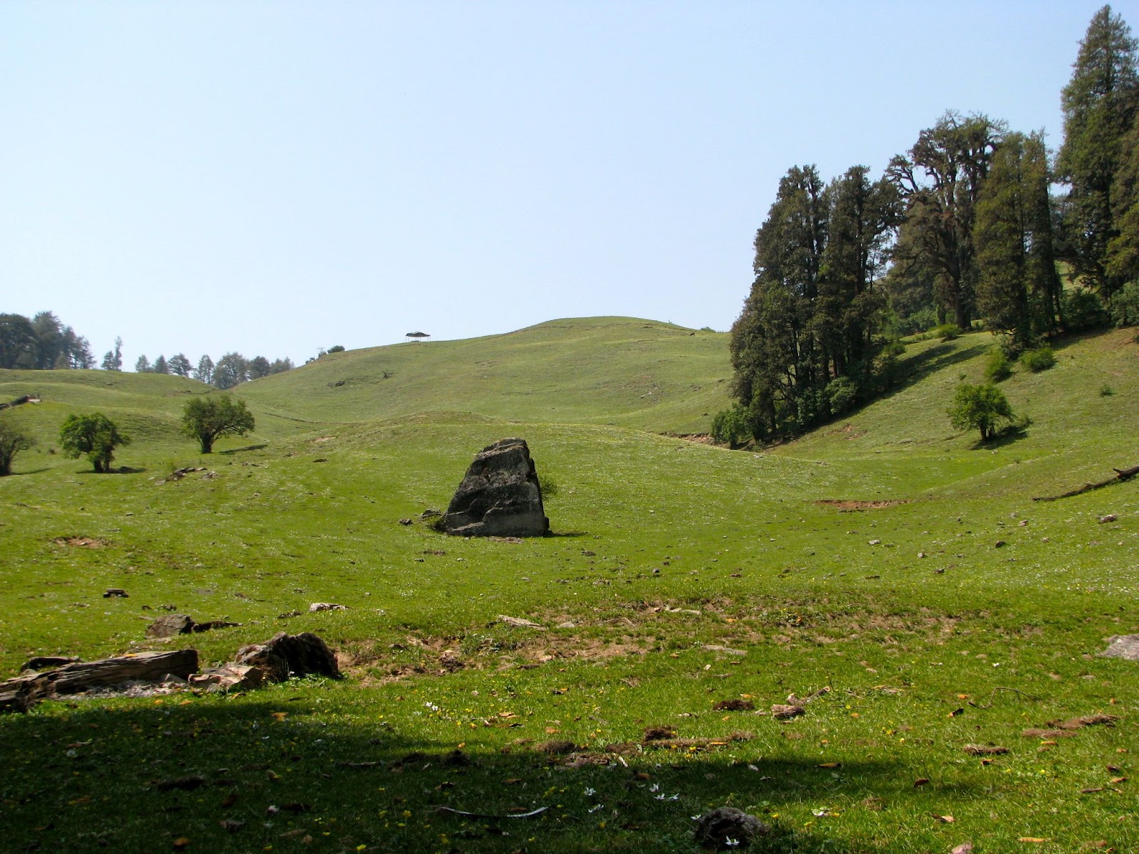 Dayara Bugyal - Part1/2 - Ghumakkar - Inspiring travel experiences.