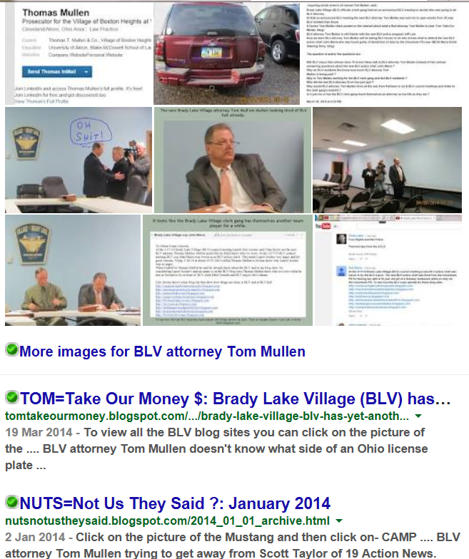 TOM=Take Our Money $: Brady Lake Village (BLV) has yet another new ...