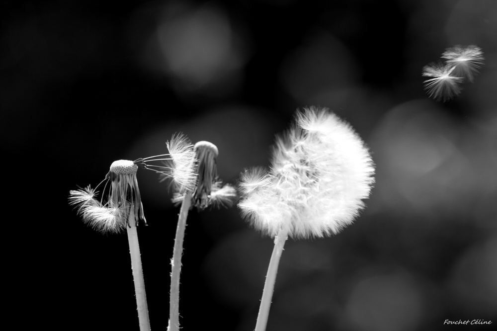 Ordinaire Moi: Fragility