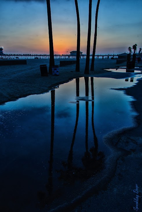 Ruben Williams Photo Journey