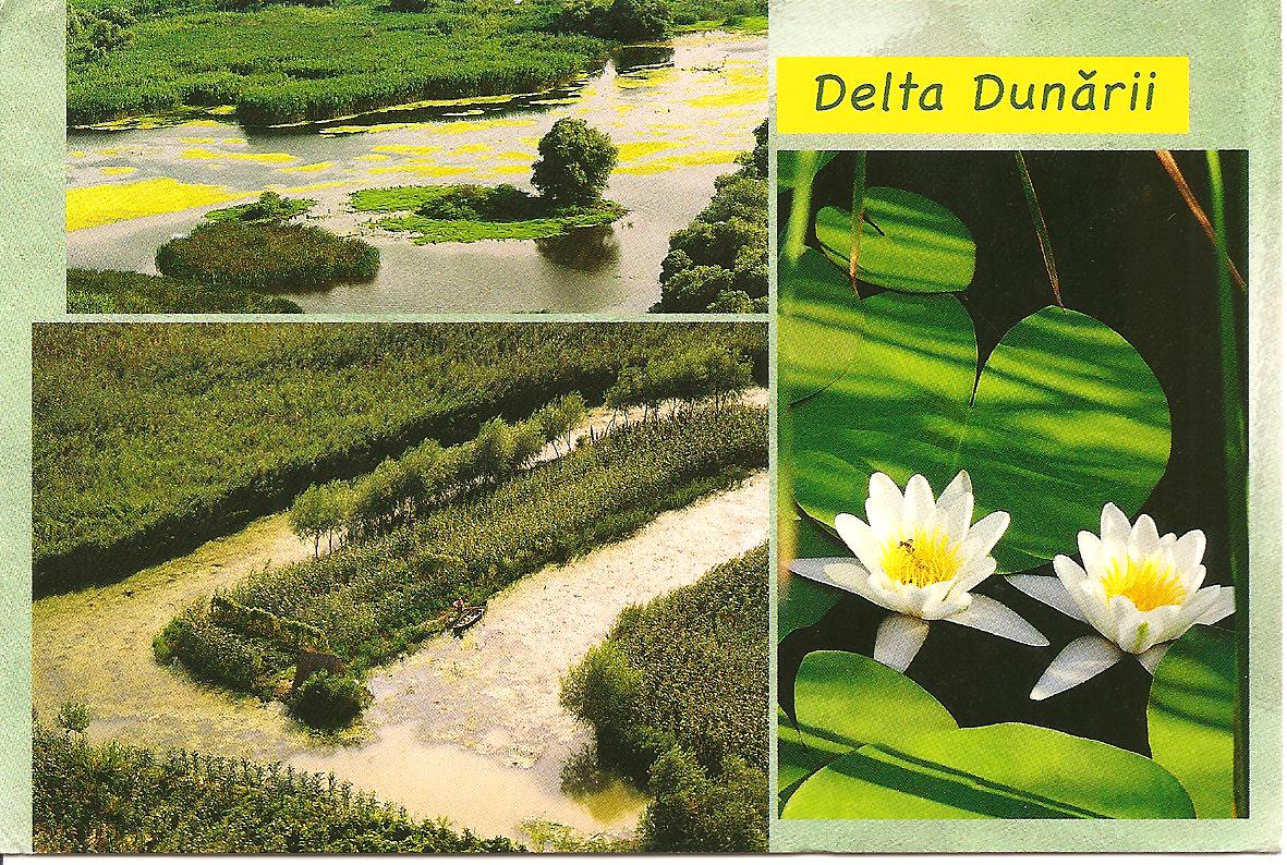 MY POSTCARD-PAGE: ROMANIA ~The Danube Delta - UNESCO~