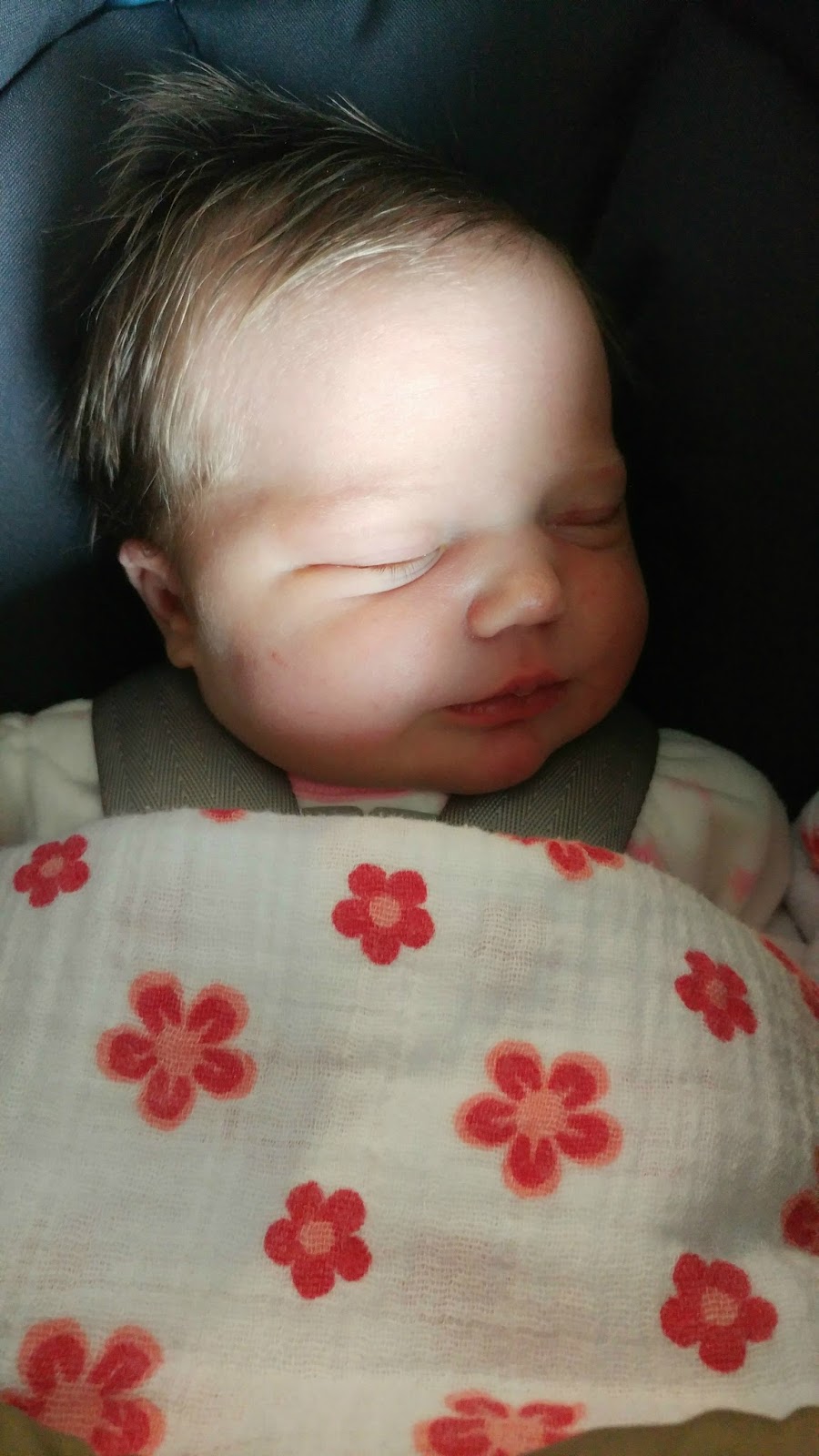 Higgy Baby, Andrew, Sparky, Dolly, Snuffy & Ronnie