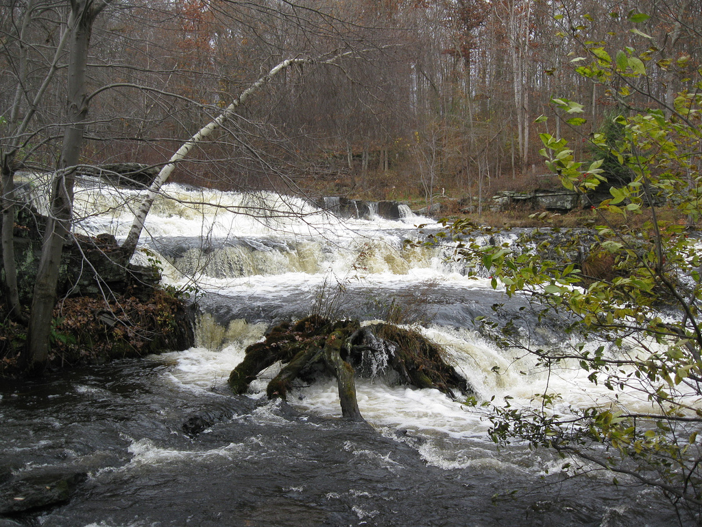 Shohola and Shohola Falls