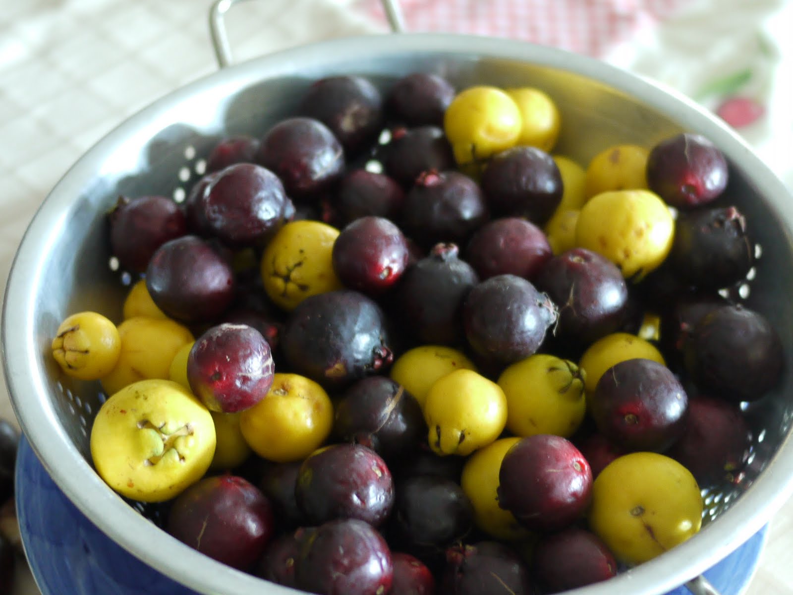 Mrs aDDamo: Mini Guava 蕃石榴