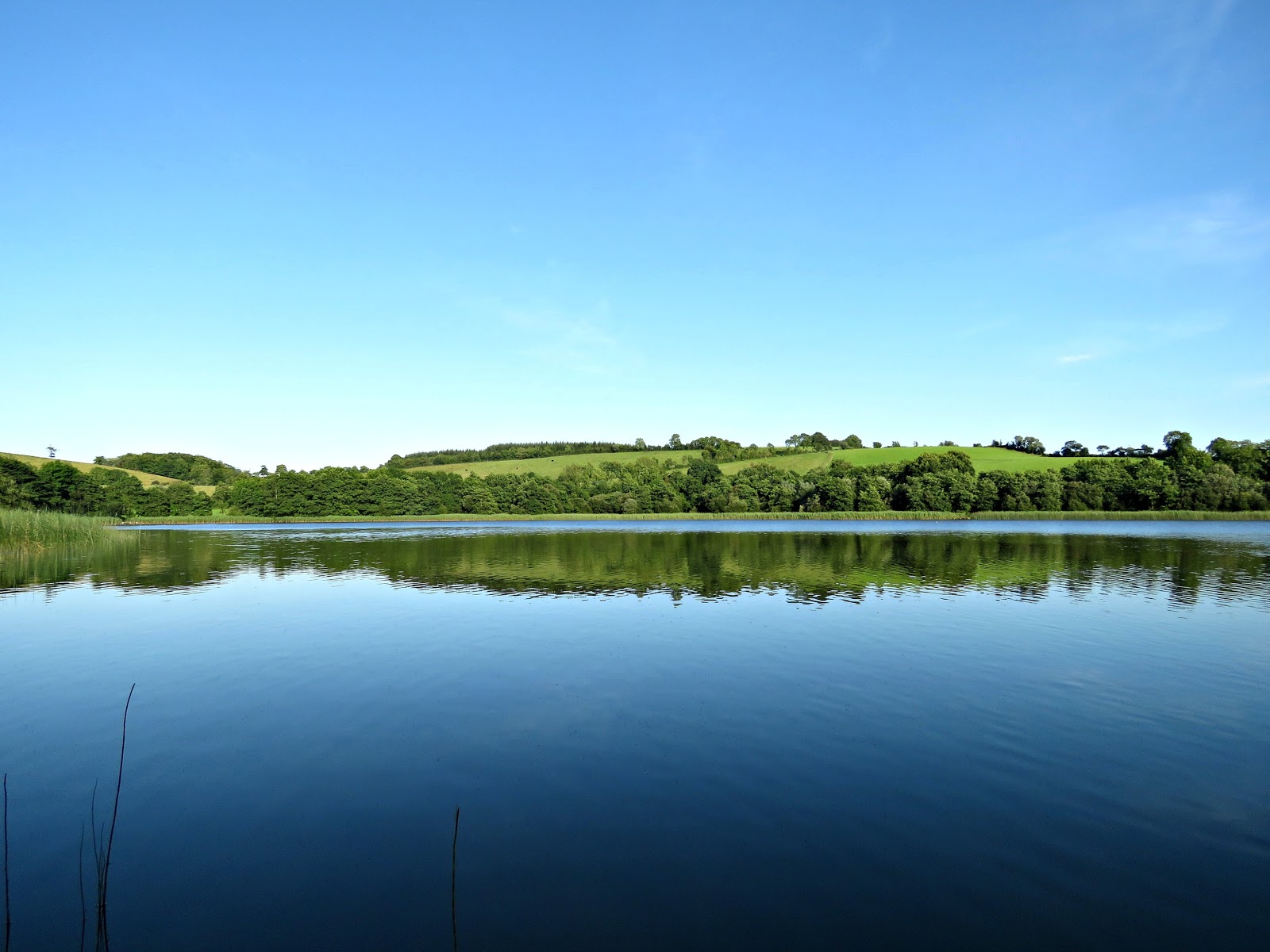 just saying ...: The White Lough on a sparkling summer evening ...