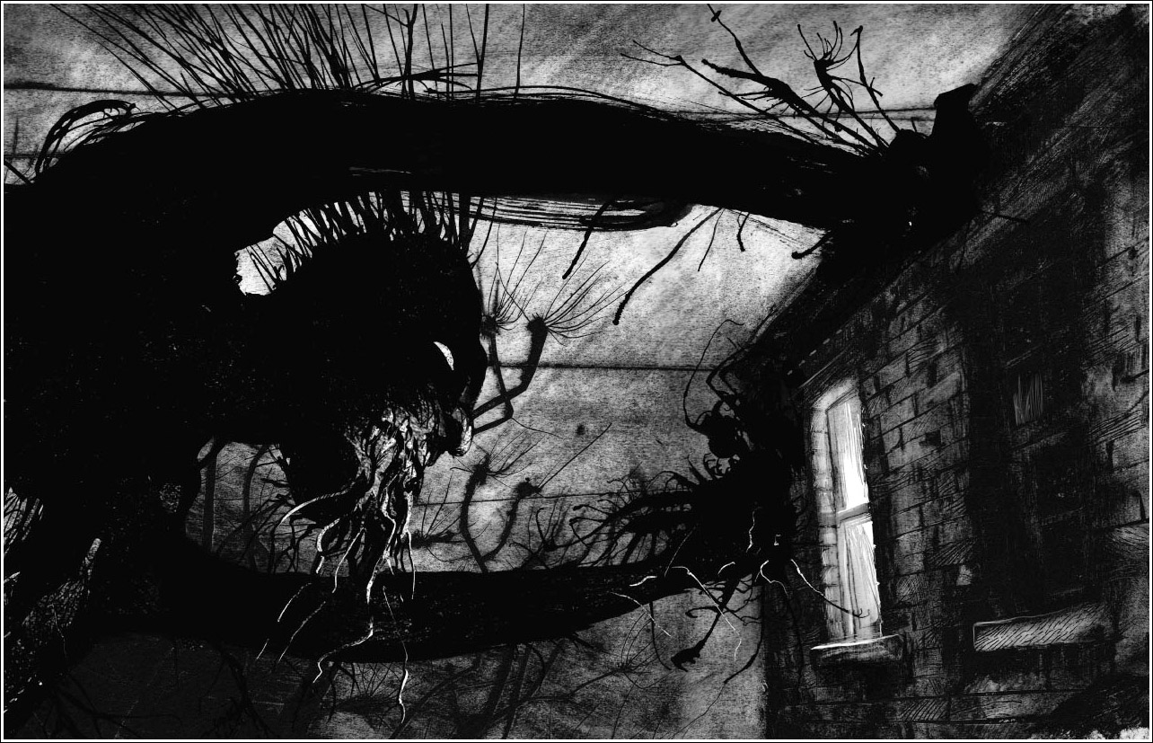 Randomly Reading: A Monster Calls by Patrick Ness, illustrated by Jim Kay