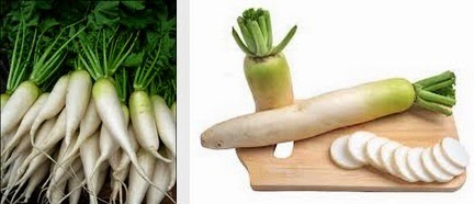 Griya Hidroponikku: SEPUTAR LOBAK