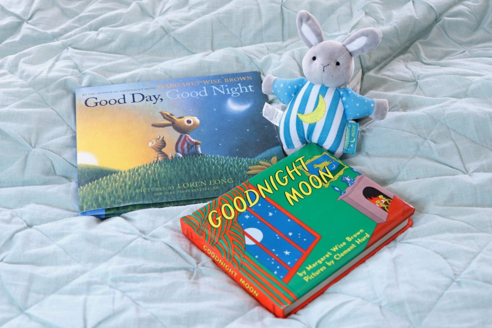 Lunchbox Dad: Good Day, Good Night Will Be Your Kids' New Favorite Book ...