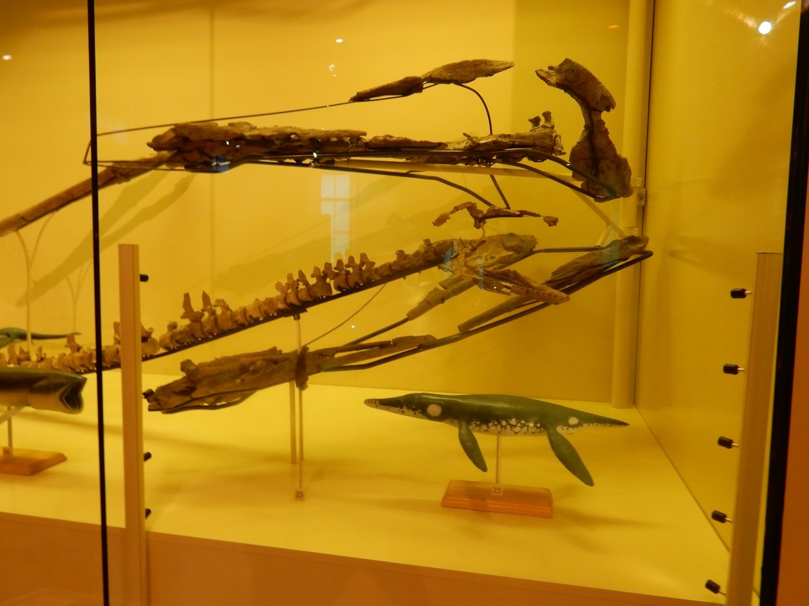 Raptormaniacs: ProgPal 2017 and New Walk Museum