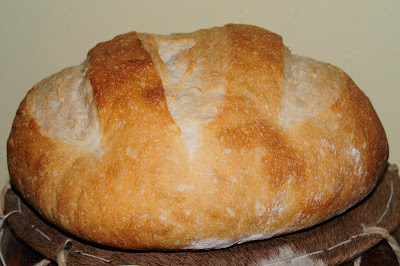 my discovery of Bread: Beer Bread