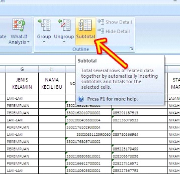 CARA MENGELOMPOKAN (GROUPING ) DATA DI EXCEL ~ Khonsa IT Center