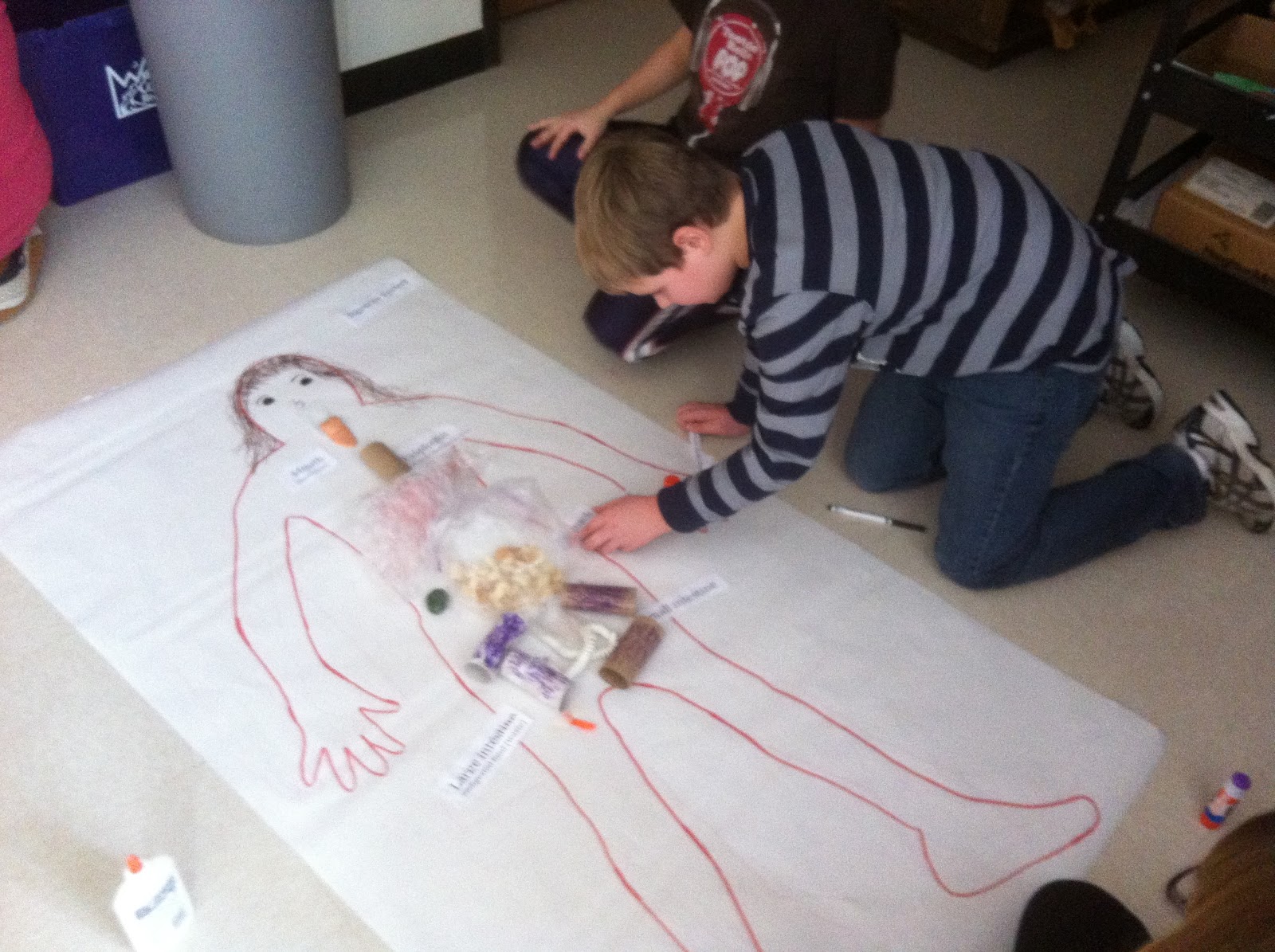 Goodview Fantastic Fourth: Our 3D Digestive System Projects