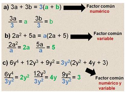 Expresiones Algebraicas Matemática Básica : Factor común monomio ...