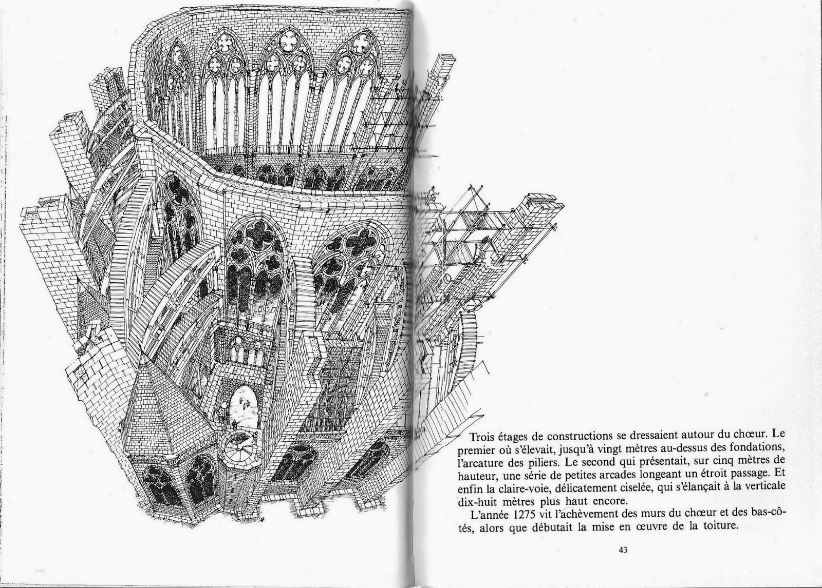 Leçons de choses: Naissance d'une cathédrale (David Macaulay)