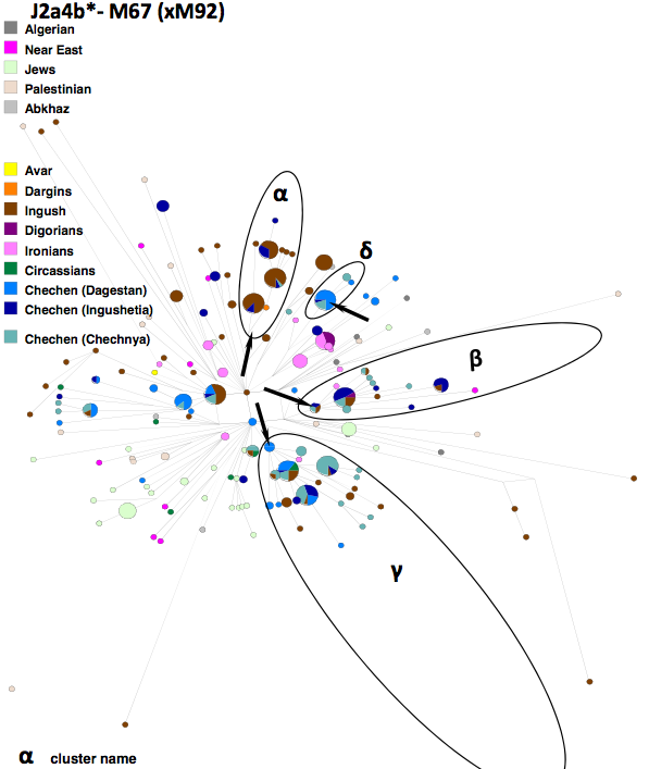KurdishDNA: Kurdish Y chromosomes of a Central Anatolian village
