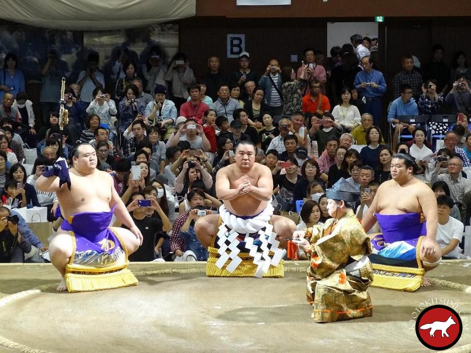 COMPRENDRE LE MONDE DES SUMOS