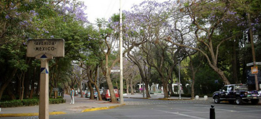 Desarrollando un país: La Colonia Condesa y su gentrificación, un viaje ...