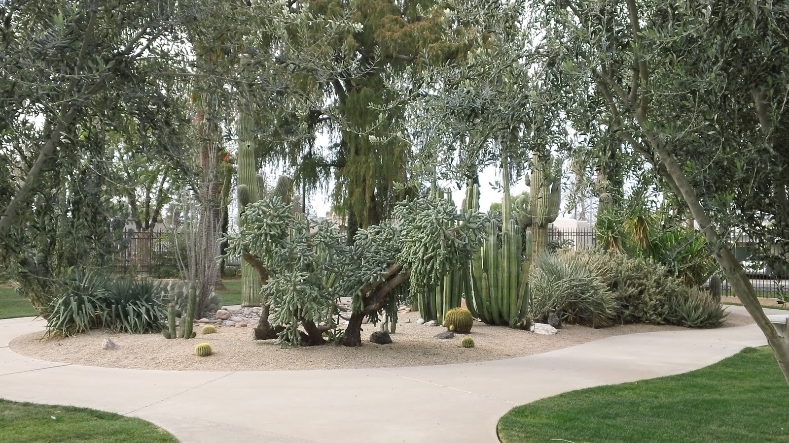 Out here in Pinon: Mesa Temple