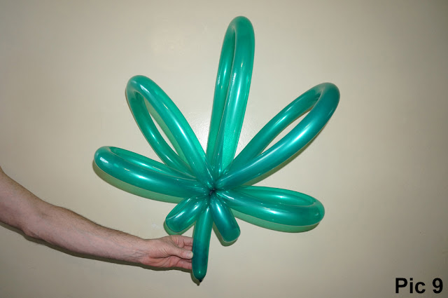 CLASSICAL: Marijuana balloon leaf
