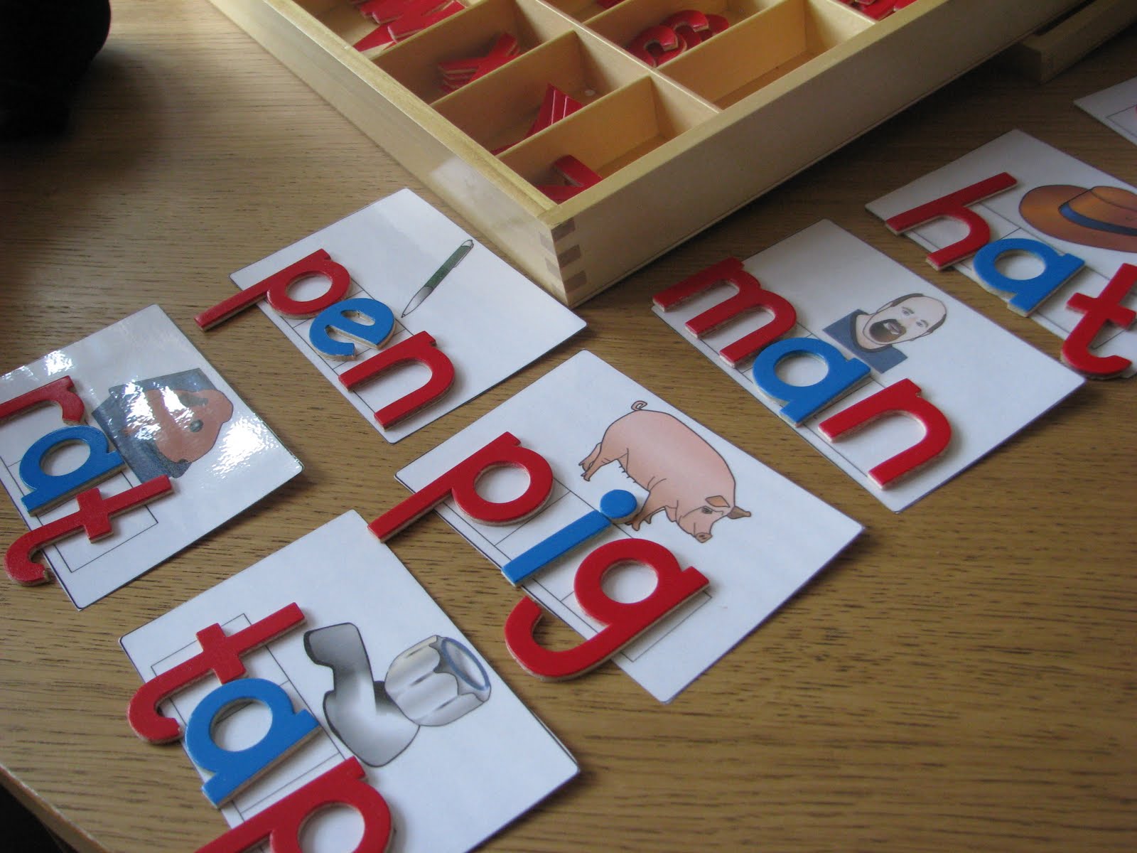 Little Blossoms: CVC Word Puzzles