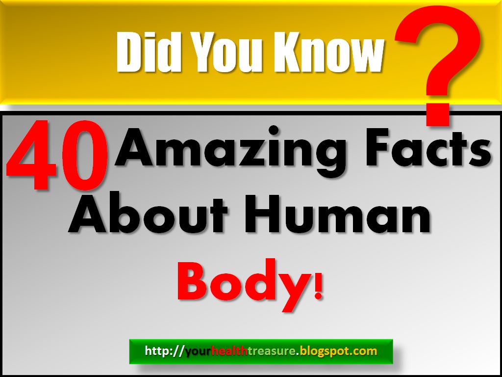 40 Interesting Facts About Human Body Health Treasure 40-interesting-facts-about-human-body-health-treasure