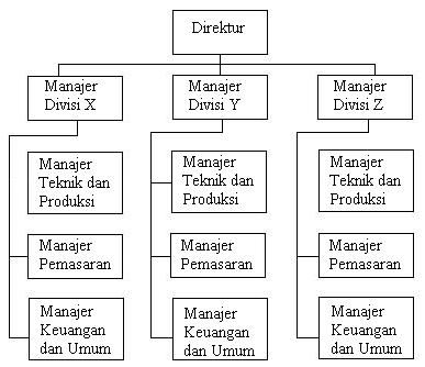 Quick Look at Divisional Structure Organization