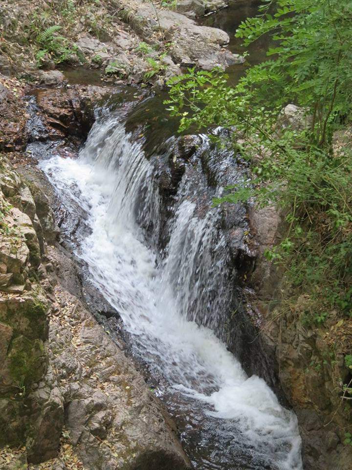PARC MEDIAMBIENTAL DE GUALBA