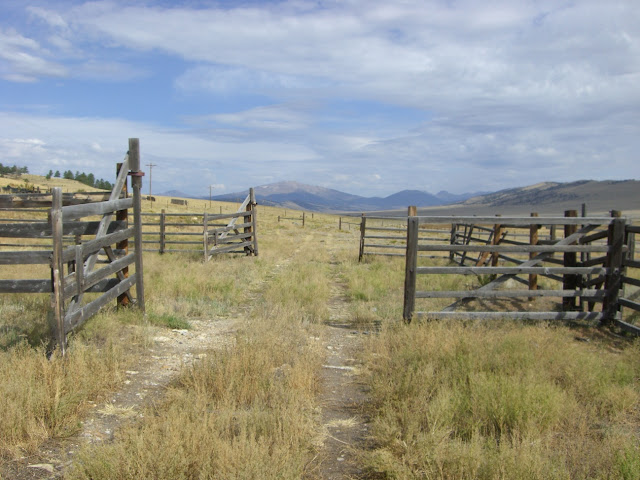 DIME WEB: CHRISTOPHER COLUMBUS SLAUGHTER - UN COLONNELLO RE DEI BOVINI ...