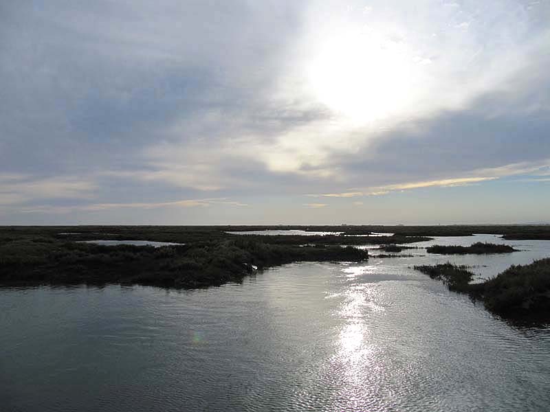 Sangrando en verde: O Parque Natural da Ria Formosa, um Paraíso