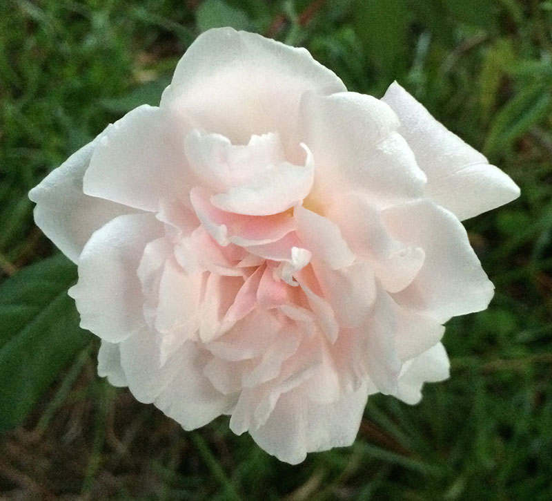 Frontier Florida : November 2015