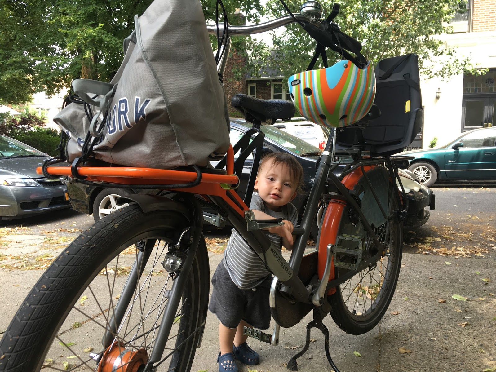 Bike Snob NYC: Back With a Smugness