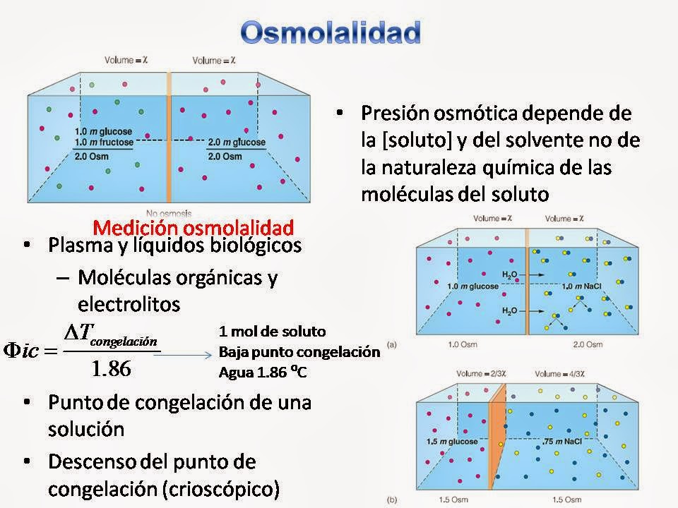 Fisiologia Basica De Jesus Edgar Bernal Gaxiola 3-5 : Conceptos ...