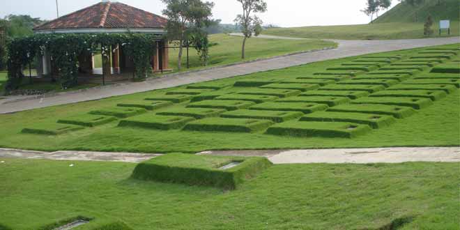 Rumput kuburan , Rumput makam Januari Tahun 2024 ~ JUAL RUMPUT TAMAN ...