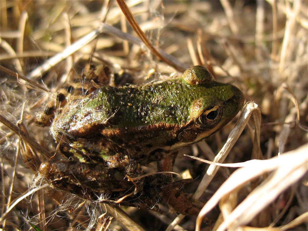The Natural Stone: Northern Greece