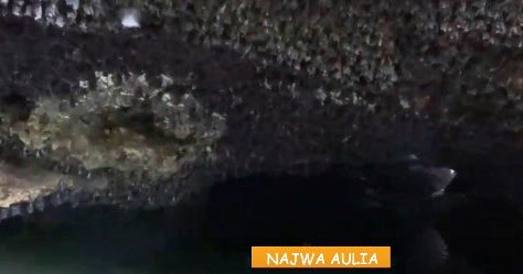 Gua Ngerong Harga Tiket Masuk Tempat dan Lokasi